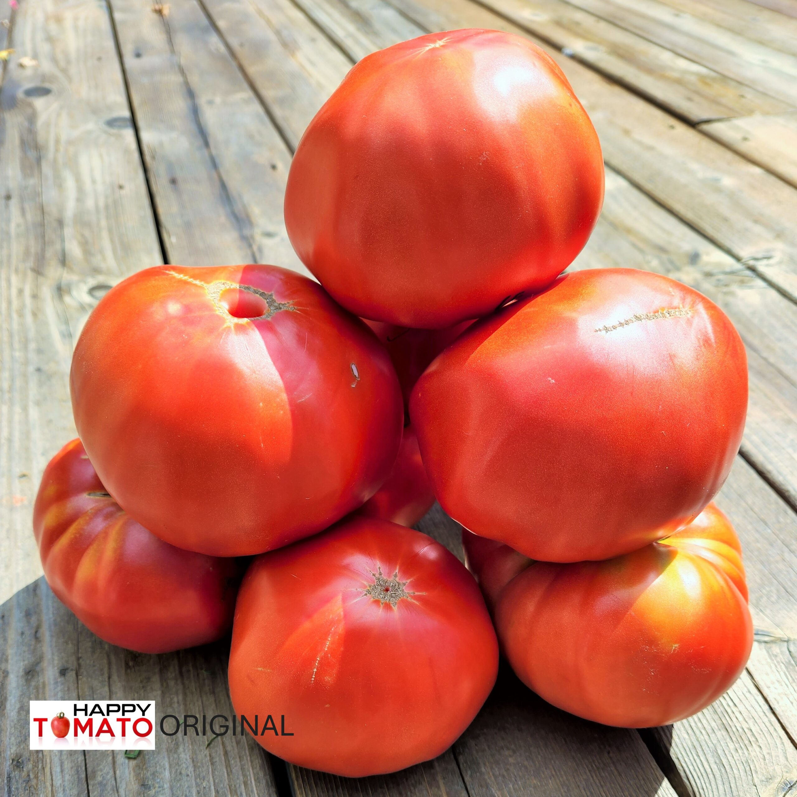 Exhibition (Vystavochnyj) tomato, award winning! - Happy Tomato