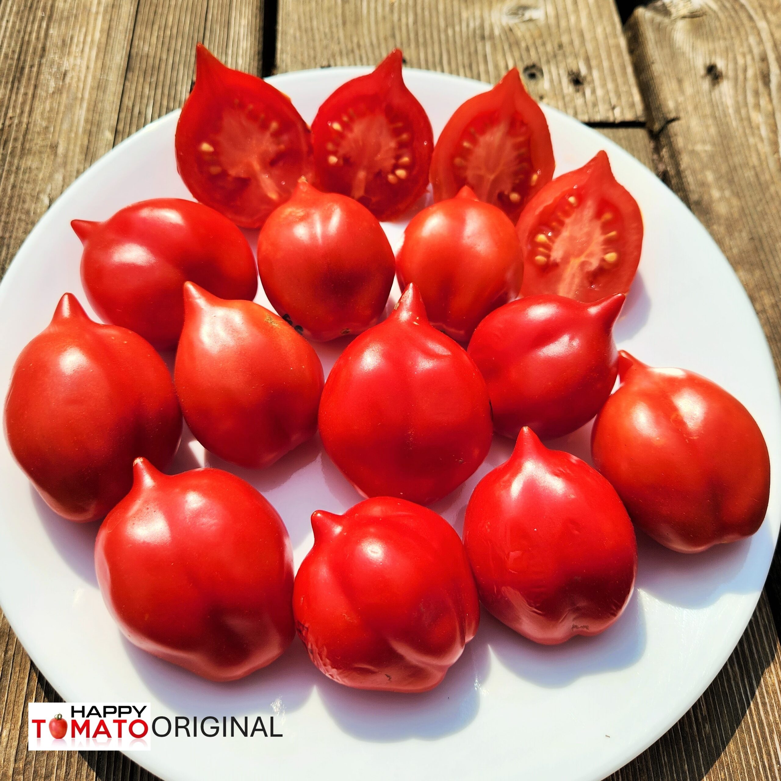 Mt. Vesuvius (Piennolo Del Vesuvio Rosso) tomato - Happy Tomato
