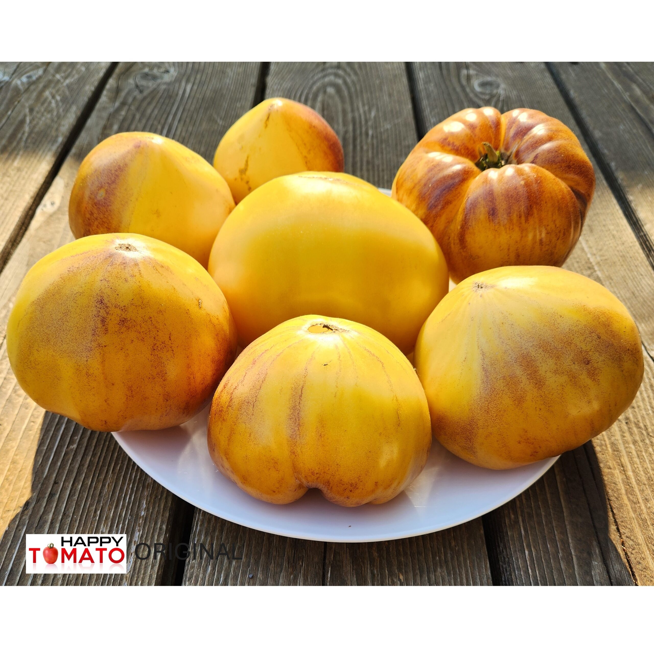 Sgt. Pepper's Yellow tomato - Happy Tomato