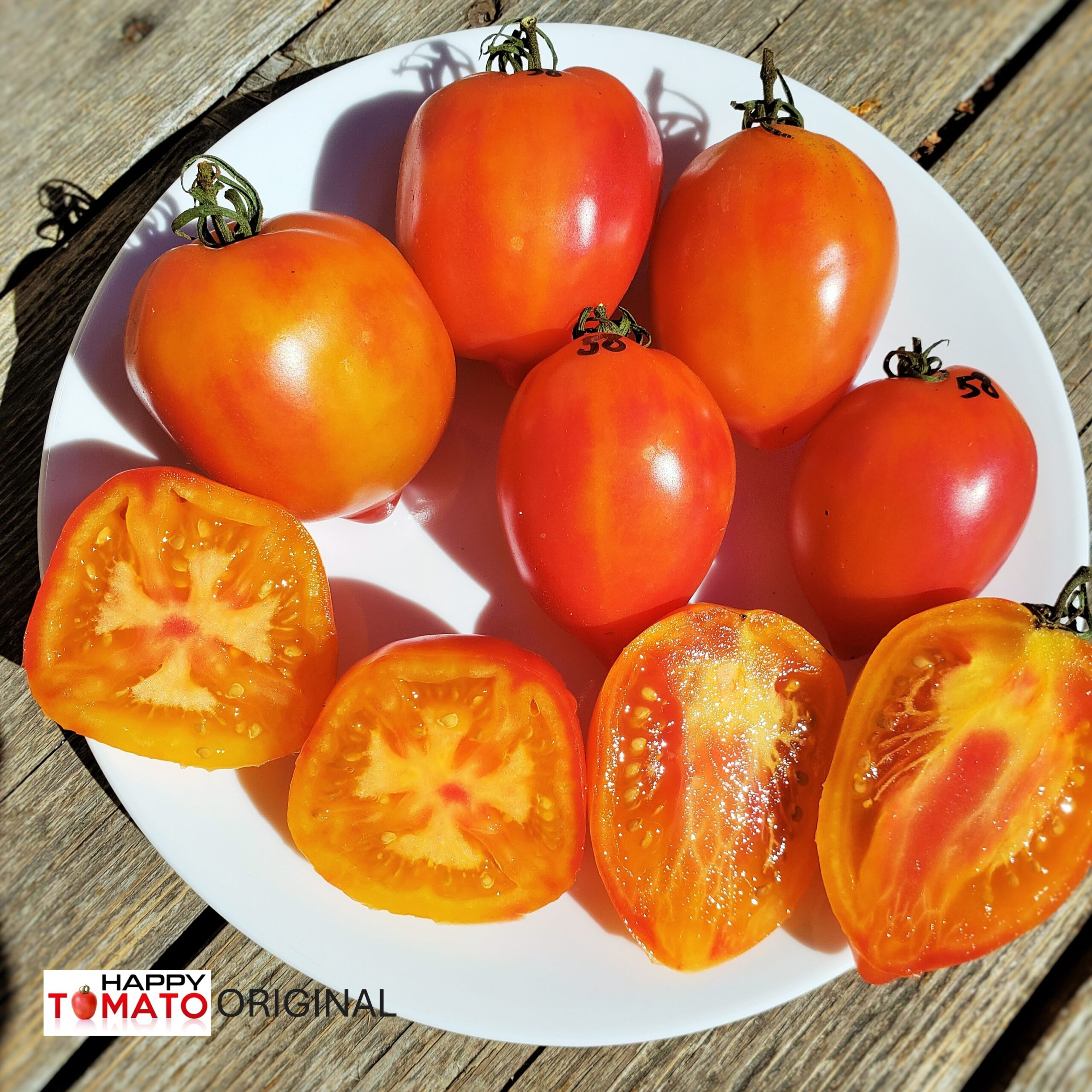 Marina's Prise tomato - Happy Tomato