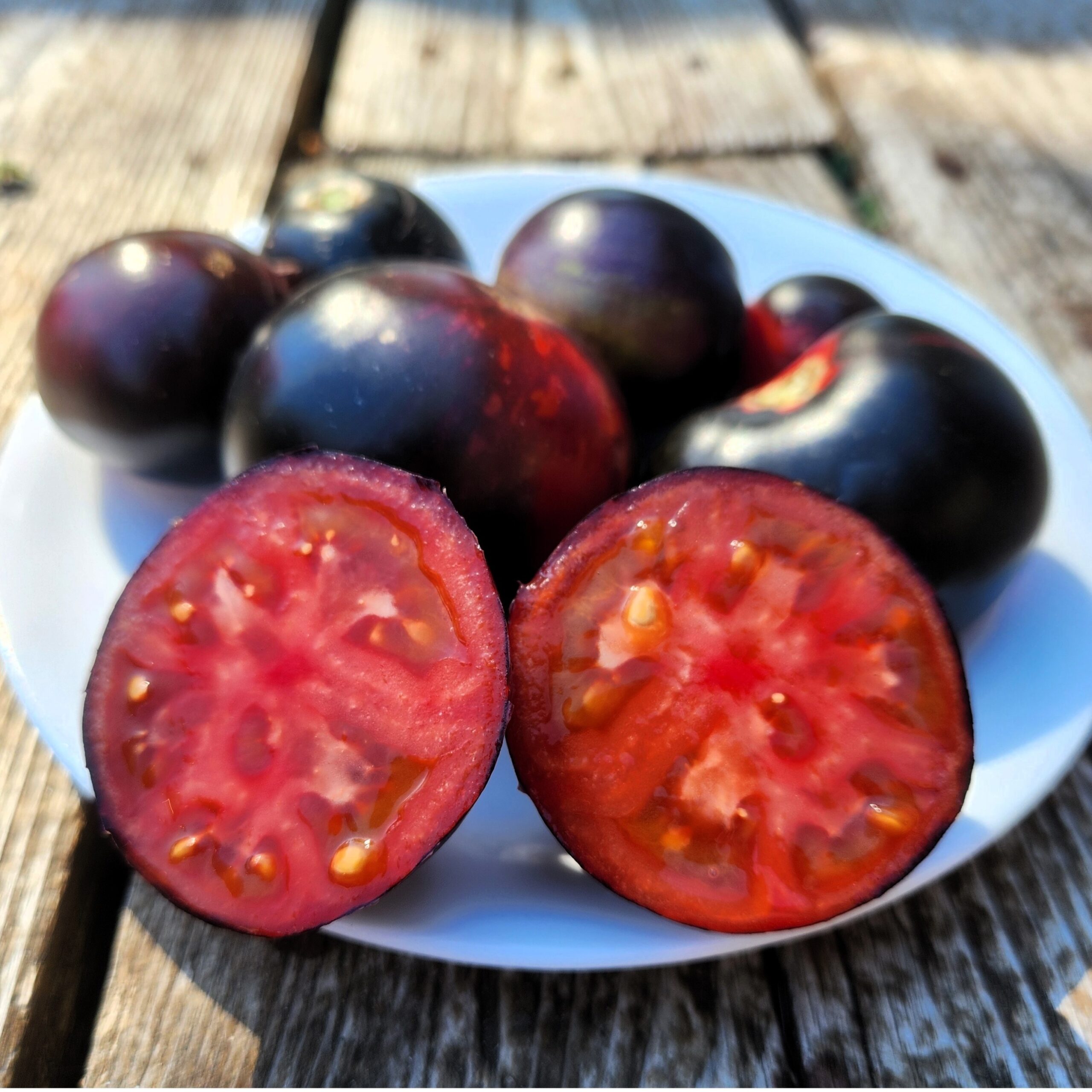 Dwarf Gondwana Lightning Tomato - Happy Tomato